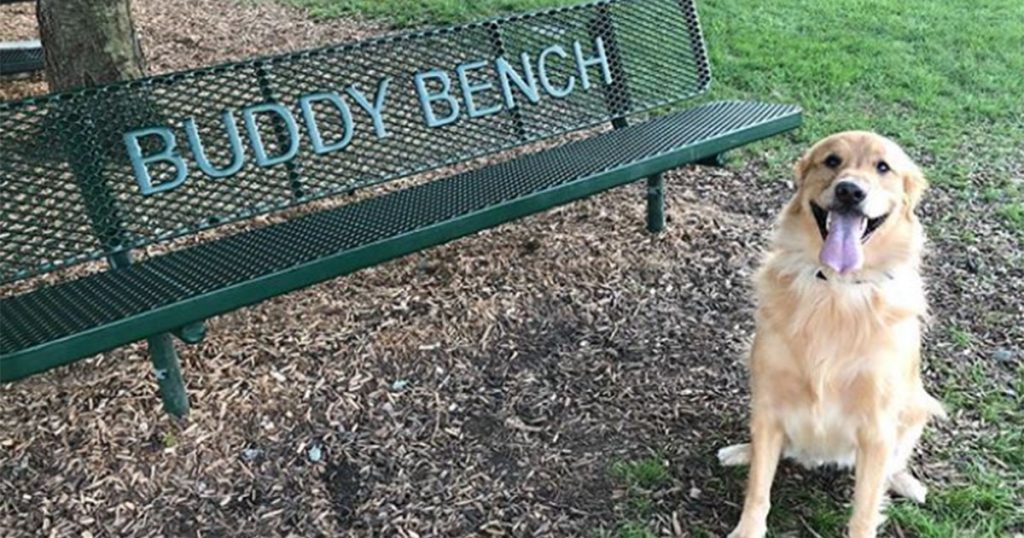 In-Ground Buddy Bench | Perforated Steel | 20 Year Warranty